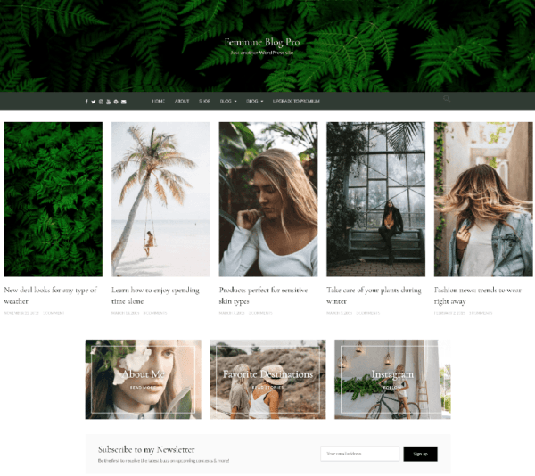 Feminine Blog - Best Blog WordPress Theme Ever - Elegant Blog Themes